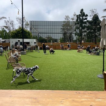 DOG PPL - Updated July 2025 - 122 Photos & 117 Reviews - 3440 Ocean ...