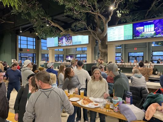 MADTREE PARKS & REC - Updated April 2025 - 73 Photos & 32 Reviews ...