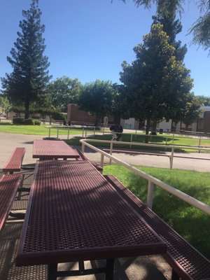 MODESTO HIGH SCHOOL - Updated December 2025 - 19 Photos - 18 H St ...