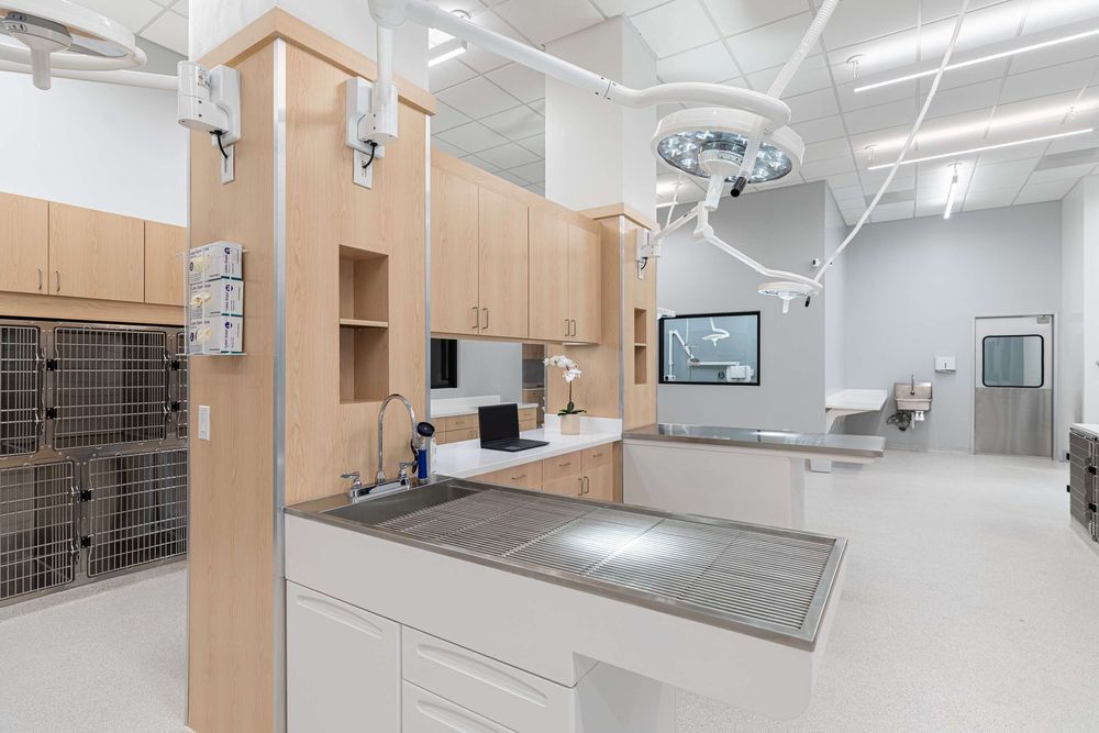 ENTERPRISE ANIMAL HOSPITAL - Updated December 2025 - 25 Photos & 28 ...