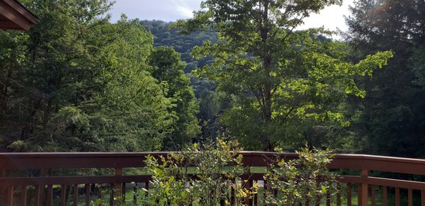 LYMAN RUN STATE PARK - Updated September 2025 - 12 Photos - 454 Lyman ...