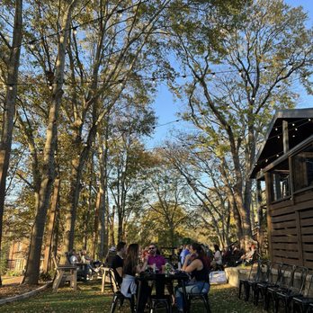 THE HOLLER - Updated December 2025 - 66 Photos & 41 Reviews - 301 W ...