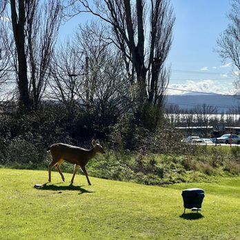 PORT TOWNSEND GOLF CLUB - Updated January 2025 - 1948 Blaine St, Port ...