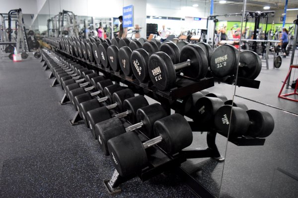 TRUFIT GYM - Updated July 2025 - 12 Photos & 21 Reviews - 120 W ...