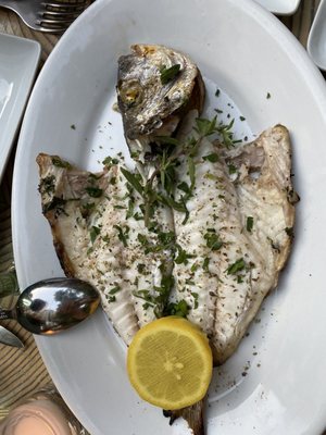 PYLOS - 947 Photos & 1204 Reviews - 128 E 7th St, New York, NY - Menu ...