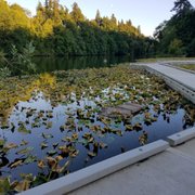 LAKE FENWICK PARK - 107 Photos & 27 Reviews - 25828 Lake Fenwick Rd ...