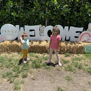 TINEZ FARMS - Updated January 2026 - 362 Photos & 67 Reviews - 16405 SW ...