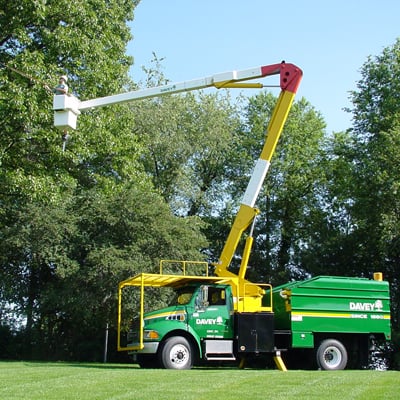 THE DAVEY TREE EXPERT COMPANY - Updated October 2025 - 29 Photos & 78 ...