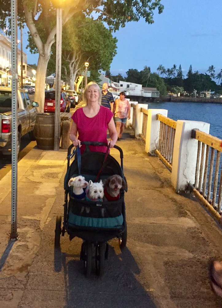 VIP PET SPAW - Updated February 2025 - Lahaina, Hawaii - Pet Groomers ...