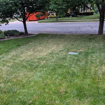 KELLY TREE SERVICE - Updated March 2026 - Kansas City, Missouri - Tree ...