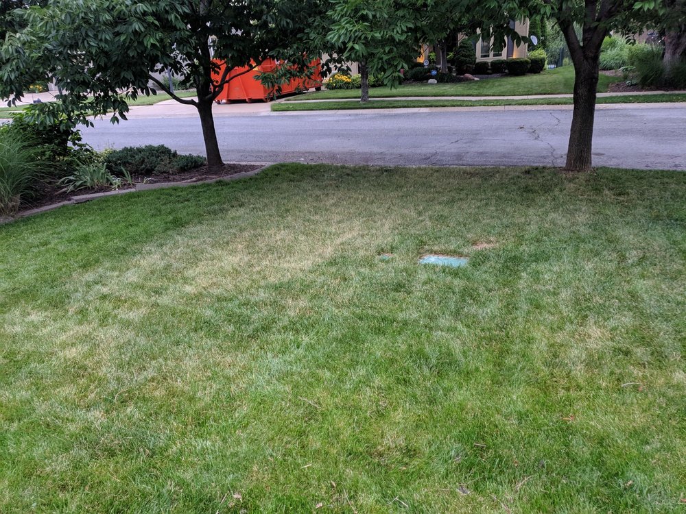 KELLY TREE SERVICE - Updated March 2026 - Kansas City, Missouri - Tree ...