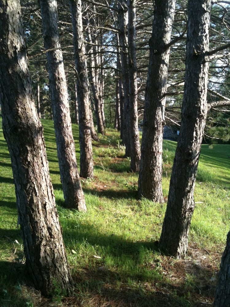 LONE OAK GOLF COURSE - Updated October 2025 - RR 1, Carrollton ...