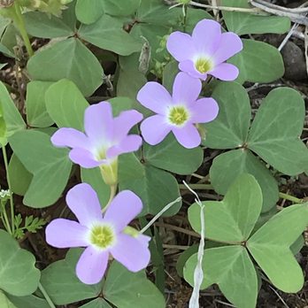 HOMINY MUNICIPAL LAKE - Updated January 2025 - 24903 OK-20, Hominy ...