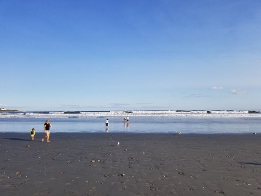 EASTON’S BEACH - Updated June 2024 - 188 Photos & 89 Reviews - 175 ...