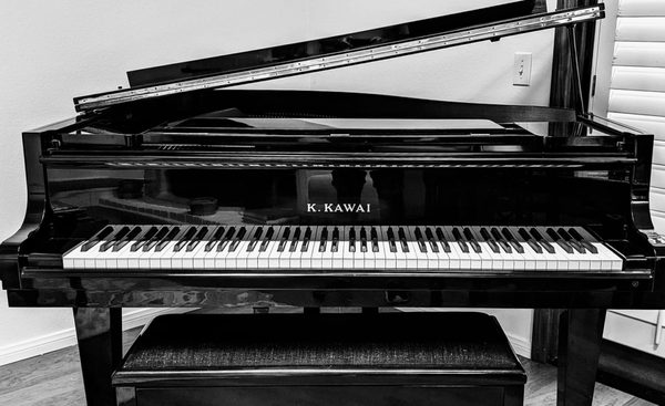 GREENE MUSIC - 220 Photos & 475 Reviews - 7480 Miramar Rd, San Diego ...