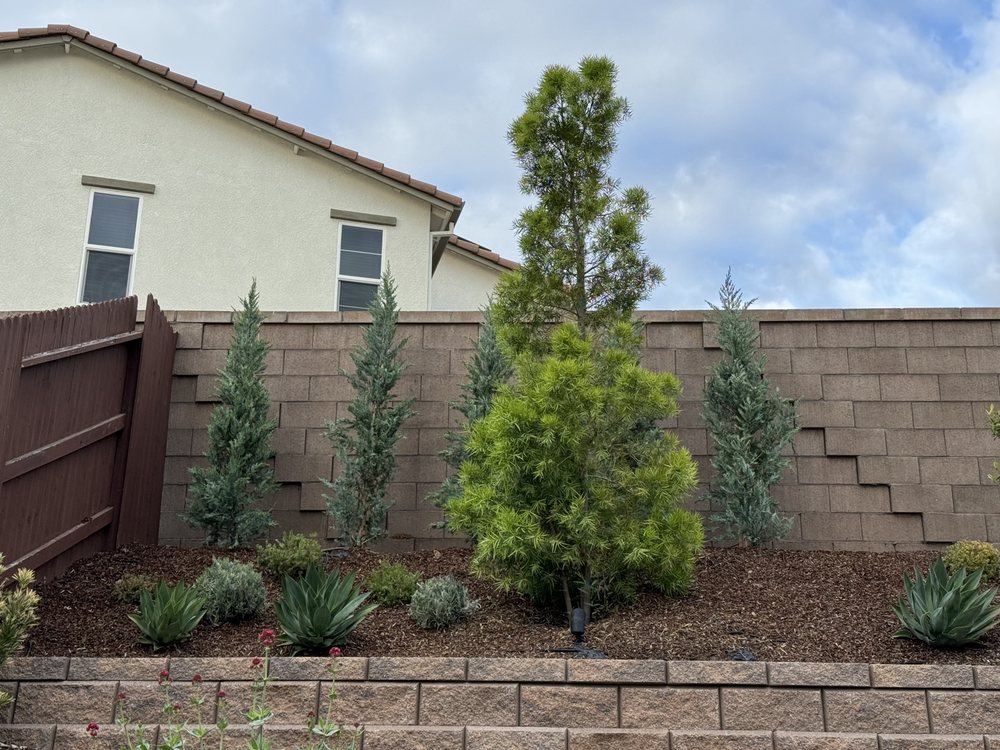 LANDSCAPE MOUNTAIN VIEW - Updated December 2025 - 108 Photos & 15 ...