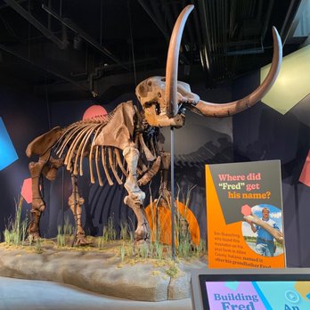 INDIANA STATE MUSEUM - Updated December 2024 - 937 Photos & 140 Reviews ...