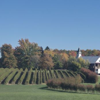 SOUTH RIVER VINEYARD - Updated October 2025 - 154 Photos & 104 Reviews ...