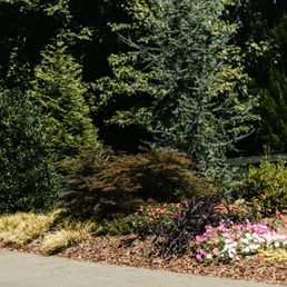 King Green Reviews | Read Customer Service Reviews of kinggreen.com