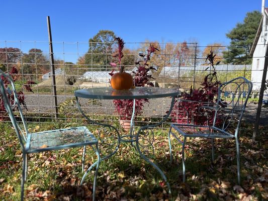 COLD SPRING FARM - Updated December 2025 - 12 Photos - 46 Town Rd ...