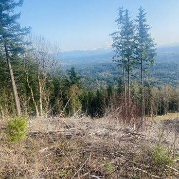 POO POO POINT - CHIRICO TRAIL - Updated July 2025 - 464 Photos & 163 ...
