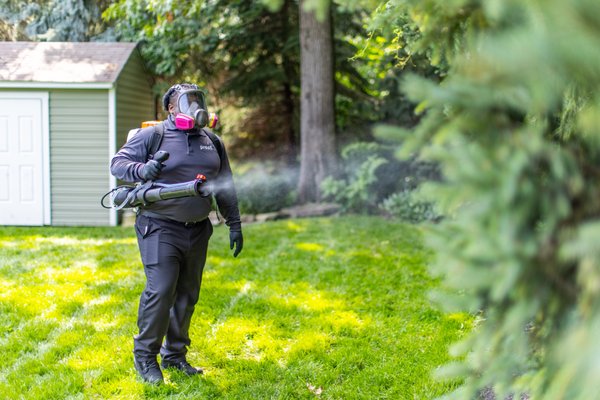 PROOF PEST CONTROL - Updated August 2025 - 32 Photos & 36 Reviews - 41 ...