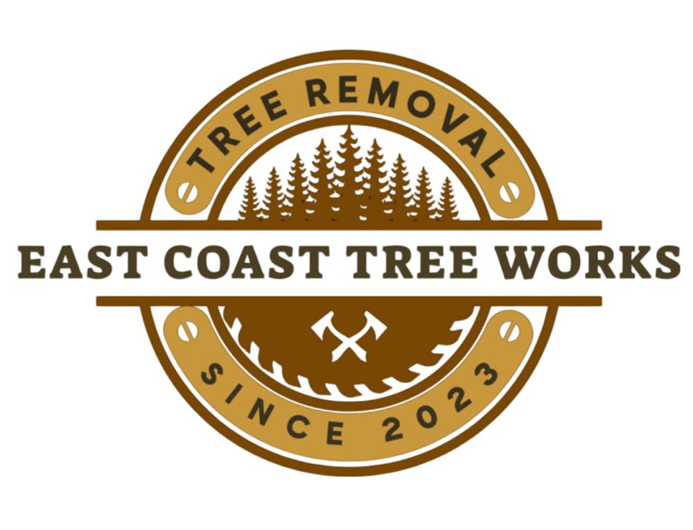 EAST COAST TREE WORKS - Updated November 2024 - Hickory, North Carolina ...