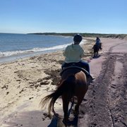 DEEP HOLLOW RANCH BEACH & TRAIL RIDES - 78 Photos & 54 Reviews - 8 Old ...