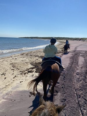 DEEP HOLLOW RANCH BEACH & TRAIL RIDES - Updated August 2025 - 85 Photos ...