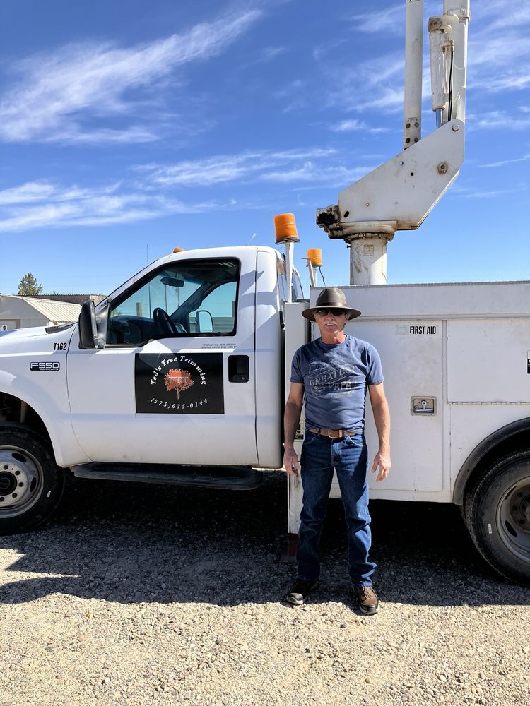 TED’S TREE TRIMMING - Updated December 2025 - 24 Photos - NM, New ...