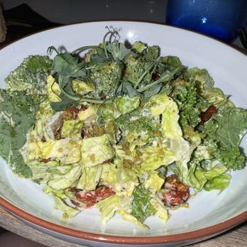 HAU TREE - Updated 2024 - 2167 Photos & 671 Reviews - 2863 Kalakaua Ave ...