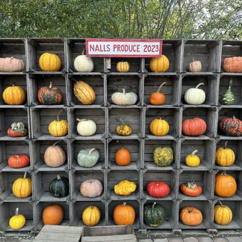 NALLS PRODUCE - Updated August 2025 - 394 Photos & 137 Reviews - 7310 ...