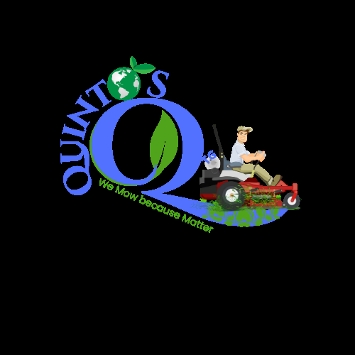 QUINTO’S TALL GRASS - Updated November 2025 - Request a Quote - Cypress ...
