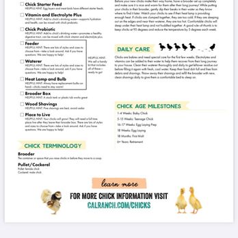 C-A-L RANCH - Updated November 2025 - 2350 Miracle Mile, Bullhead City ...