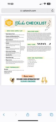 C-A-L RANCH - Updated December 2025 - 2350 Miracle Mile, Bullhead City ...