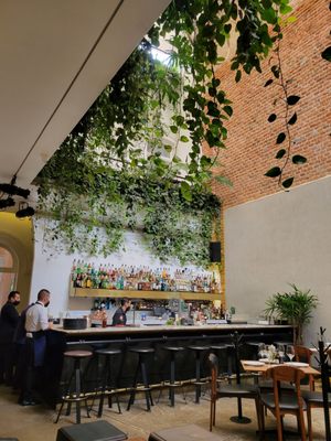 BLANCO COLIMA - 254 Photos & 62 Reviews - Colima 168, México, D.F ...