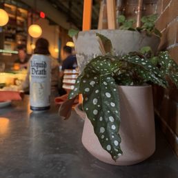 JAFFA BAR - Updated December 2025 - 179 Photos & 57 Reviews - 1625 N ...