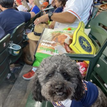 PETLAND WEBSTER - Updated October 2024 - 126 Photos & 79 Reviews ...