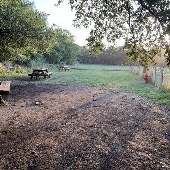 ARMADILLO DEN - Updated September 2025 - 171 Photos & 171 Reviews ...