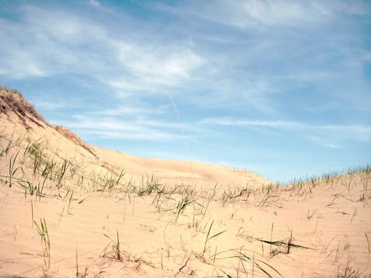 JUNIPER DUNES WILDERNESS - Updated November 2025 - 16 Photos - Kahlotus ...