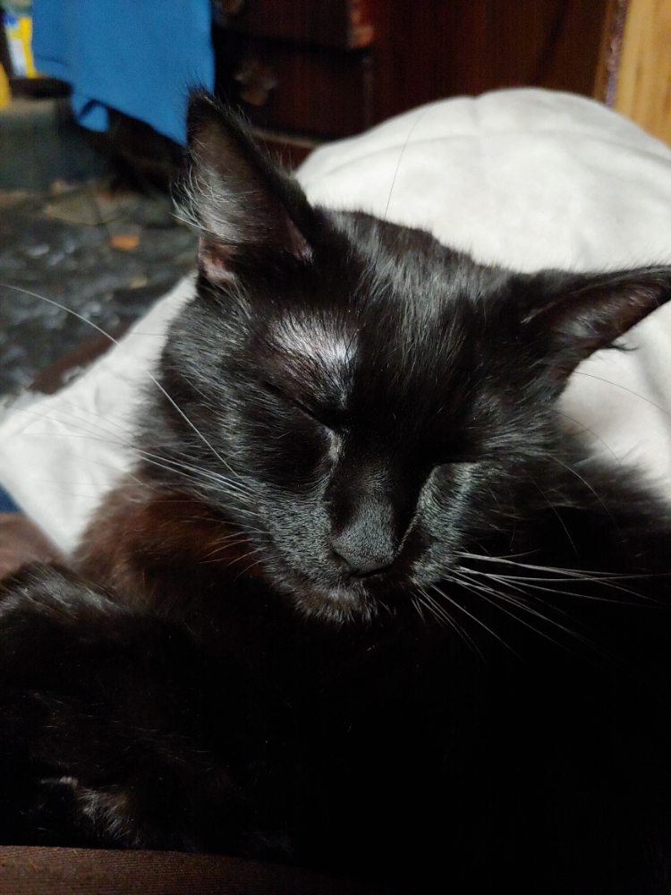 DONNA CATT MCCOY - Request Information - Blacksburg, VA - Yelp