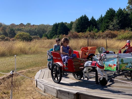 BERRY PATCH FARMS - Updated October 2025 - 25 Photos & 45 Reviews - 786 ...