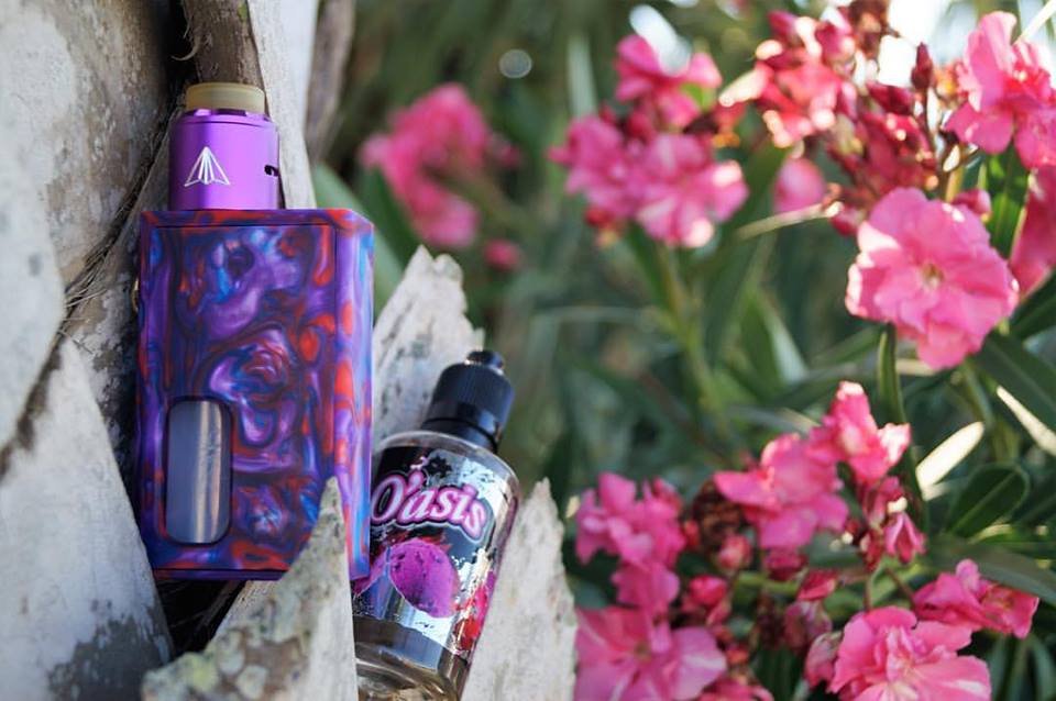 DOGHOUSE VAPES - Updated August 2025 - 23 Photos - 2480 East Bay Dr ...