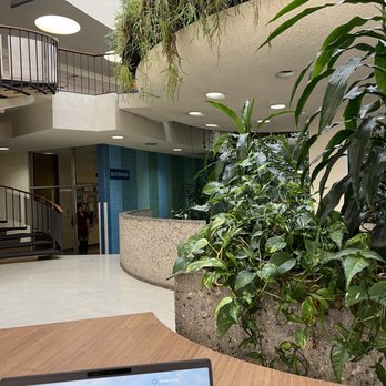 DOWNTOWN RENO LIBRARY - Updated March 2025 - 74 Photos & 34 Reviews ...