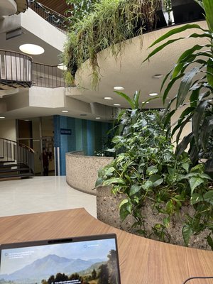 DOWNTOWN RENO LIBRARY - Updated December 2025 - 86 Photos & 39 Reviews ...