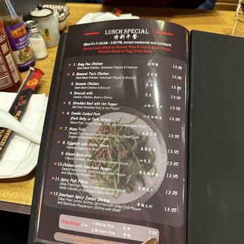 SZECHUAN VILLAGE PHO & DIMSUM - Updated August 2025 - 67 Photos & 22 ...