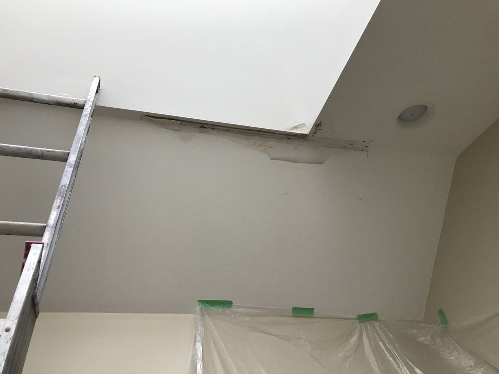 REVIVE PAINTING - Updated August 2024 - Toronto, Ontario, Canada ...