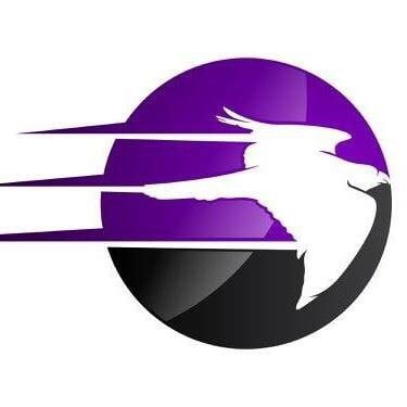 FALCON DELIVERY - Updated September 2025 - 13 Reviews - Las Vegas ...