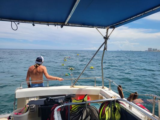 SEA EXPERIENCE - Updated July 2024 - 125 Photos & 164 Reviews - 801 ...