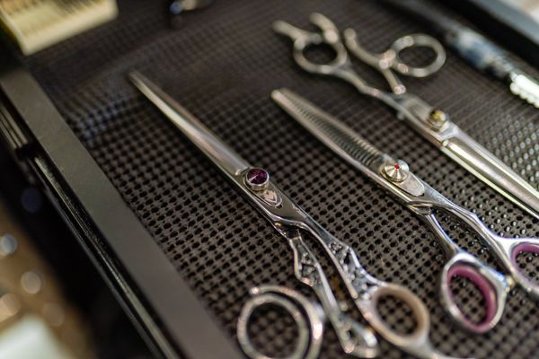 SHEAR DECADENCE HAIR SALON - Updated August 2024 - 74 Photos & 41 ...